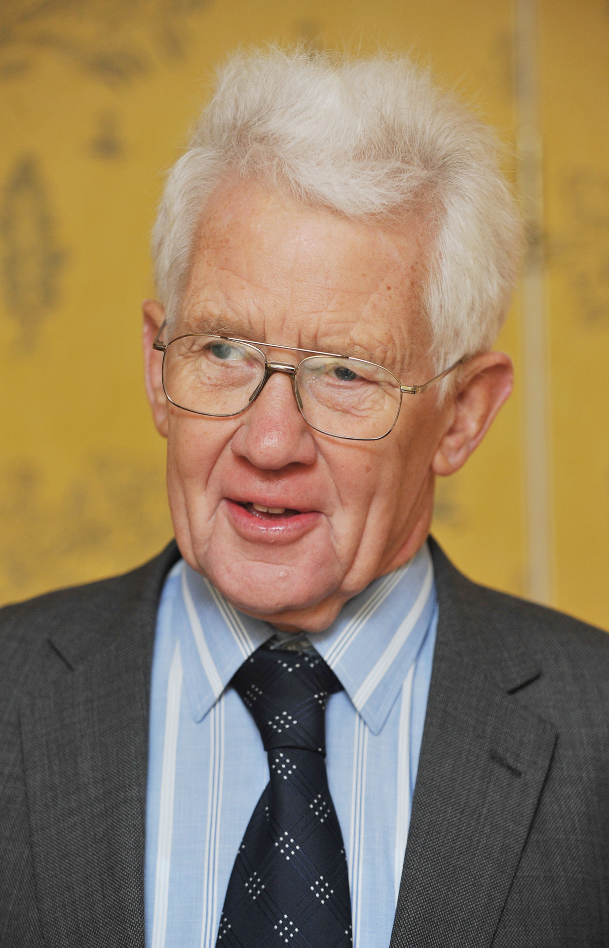 Global Emerging Markets 2022 - portfolio institutional