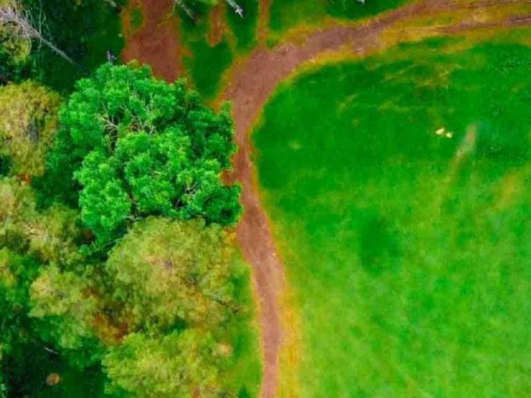 BNP Paribas Asset Management – Active stewardship on display ...