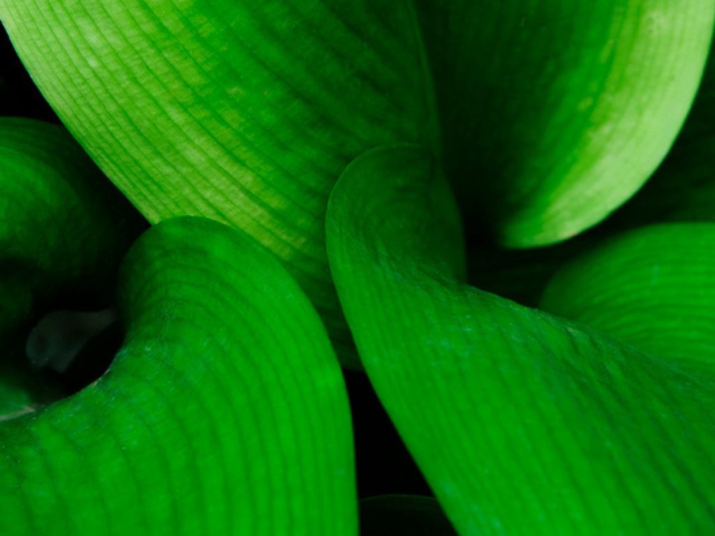 Legal & General Investment Management (LGIM) – LGIM’s ESG score ...