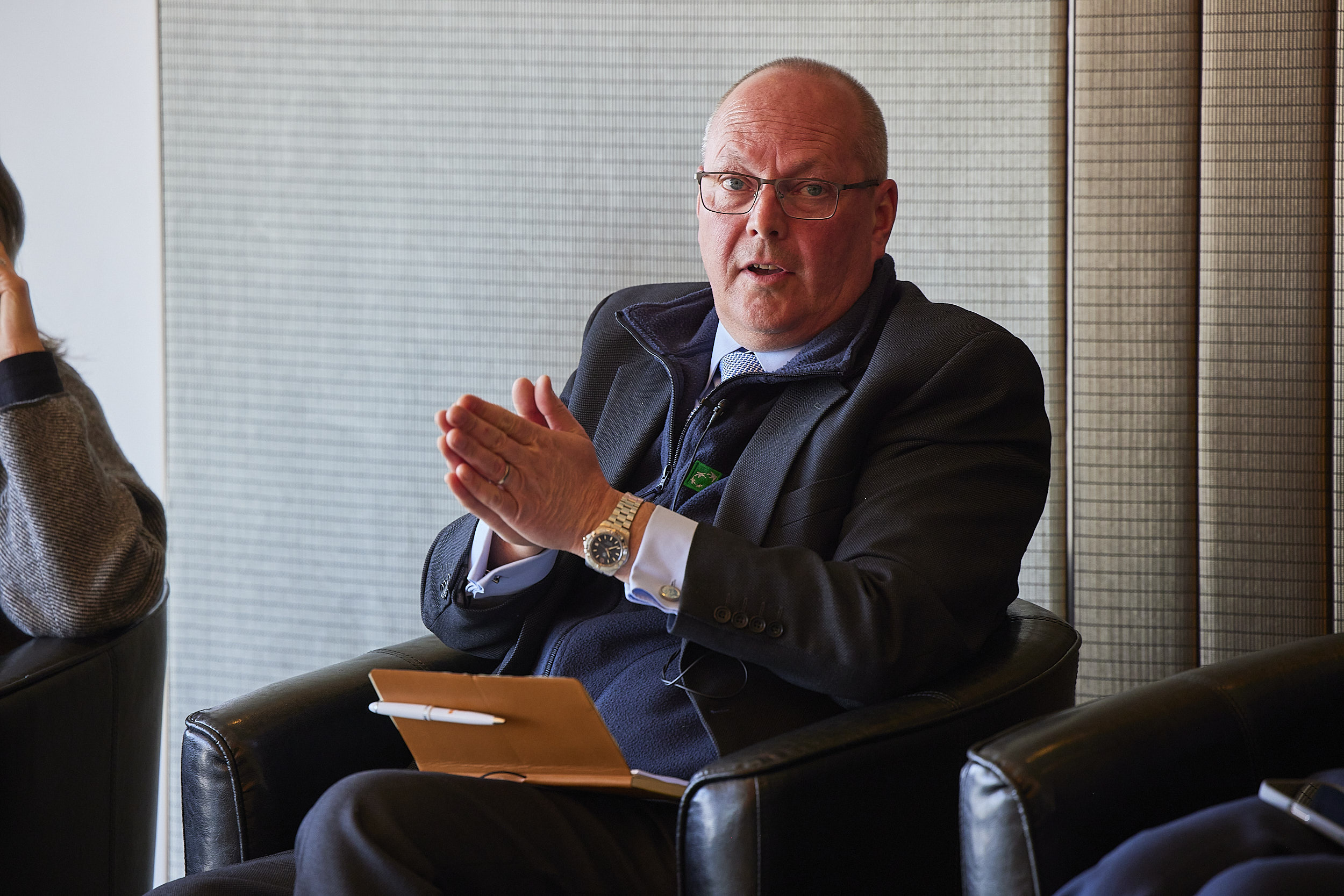 Mandation and its discontents - portfolio institutional